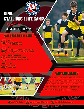 Buffalo Stallions Camps and Clinics